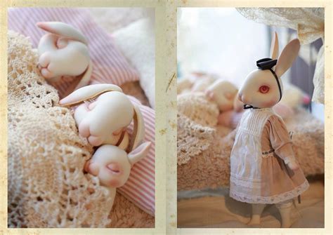 Hikaru Jinguji Doll Works Cocon Moyashi Japan Books