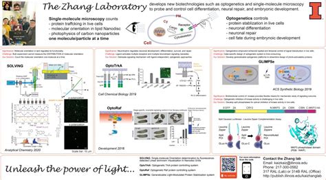 Research The Zhang Lab University Of Illinois At Urbana Champaign