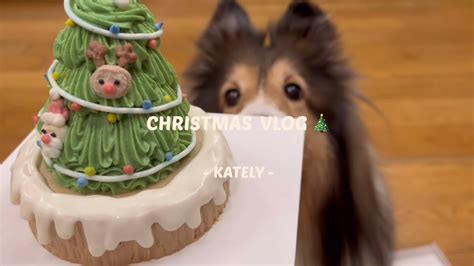 크리스마스 Vlog 선물 언박싱 반얀트리호텔 파인다이닝 까르띠에 Youtube