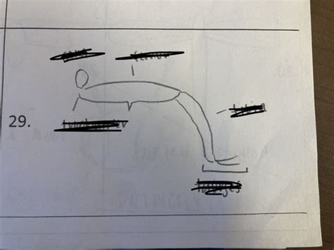 LAB PRACTICAL Flashcards Quizlet LAB PRACTICAL Flashcards Quizlet