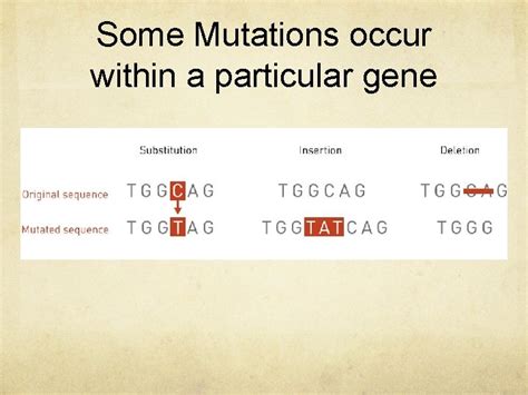 Mutations What You Need To Know Dna Definition