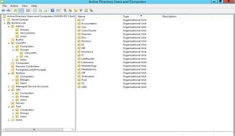 Implementation Of The Active Directory Directory Service Download