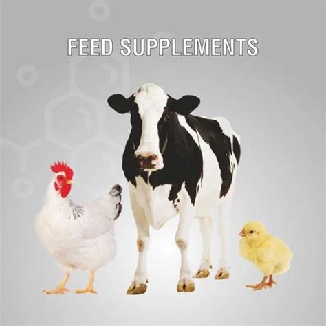 Liquid Feed Supplement Poultry And Cattle Feed Supplements At Best