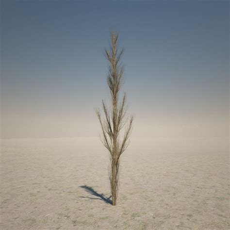 Dead Cypress Tree Max