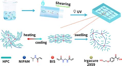Anisotropic Single Domain Hydrogel With Stimulus Response To Temperature And Ionic Strength