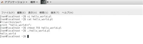 Linuxでperlを動かす方法を簡単に【インストールと実行方法】