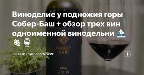 Виноделие у подножия горы Собер Баш обзор трех вин одноименной винодельни 🏔🍇🍷 Винный клуб