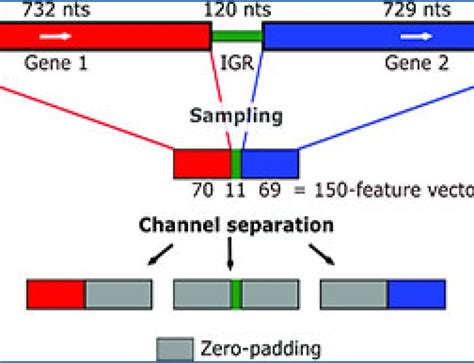 Scspace Reconstruction Of The Cell Pseudo Space From Single Cell Rna