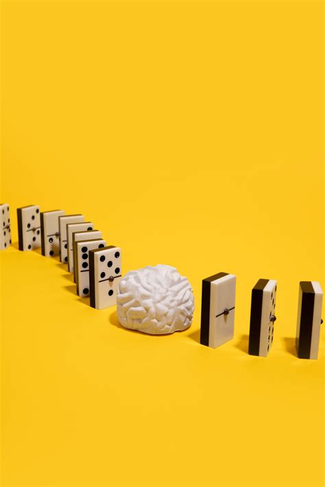 Perception And Decision Making The Complex Relationship Between