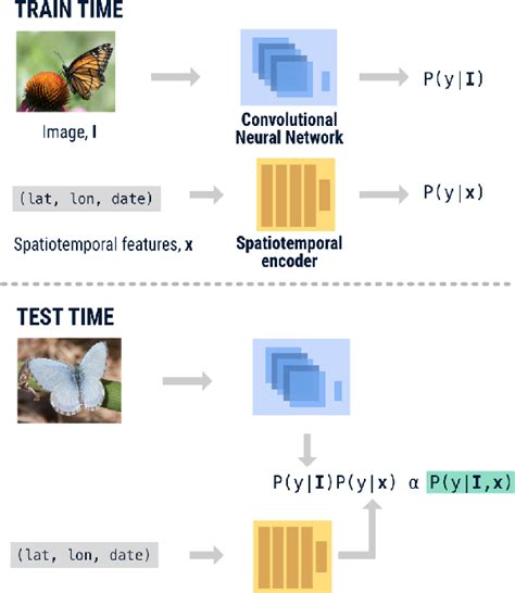 Figure from Spatiotemporal Features Improve Fine Grained Butterﬂy Image Classiﬁcation
