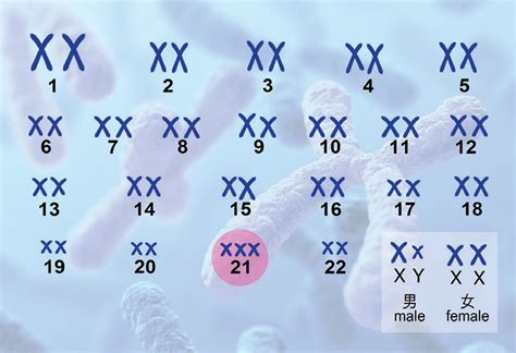 由無創產檢到癌症檢測：盧煜明破解血漿dna密碼 Cuhkupdates 香港中文大學
