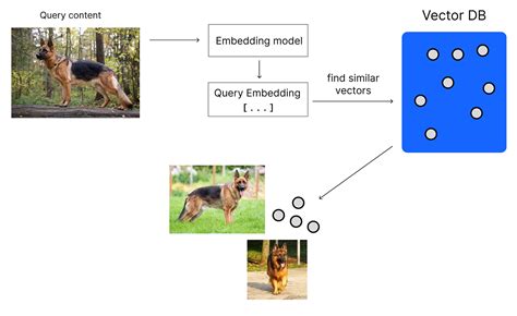 Fine Tune Your Own Bert Token Classification Model By Raj Pulapakura