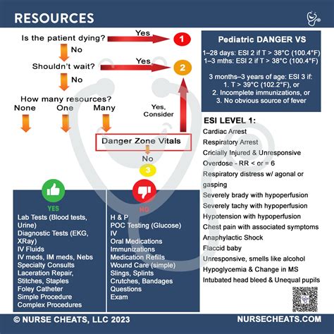 Esi Triage Badge For Er Nurses Etsy