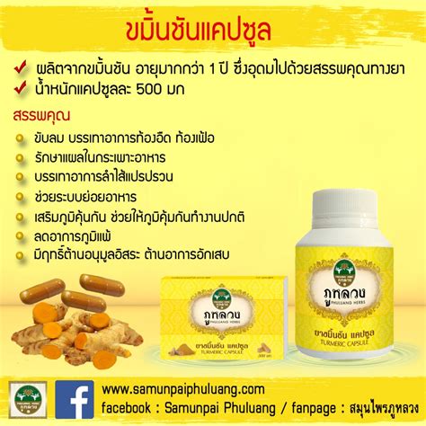 ขมิ้นชันแคปซูล