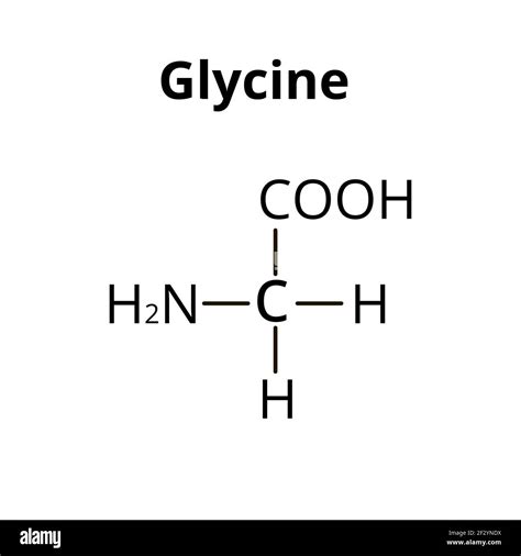 Glycine Lewis Structure
