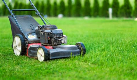 2025 Lawn Mower Buying Guide For California Residents Sodlawn