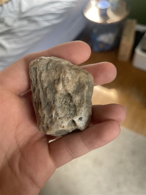 Crinoid Calyx Fossil Id The Fossil Forum