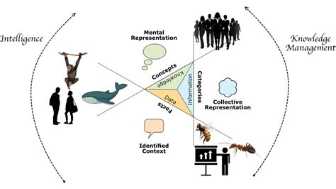 cognitive capabilities caminao s ways
