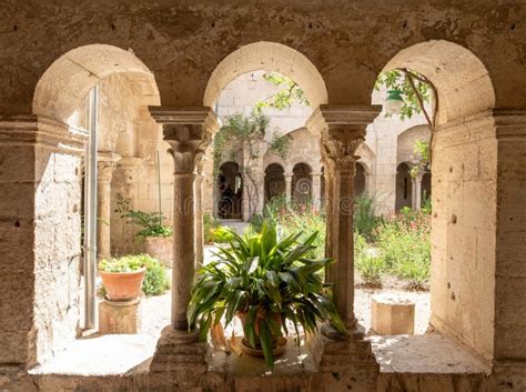Saint Rémy De Provence France Cloister Garden At The Saint Paul