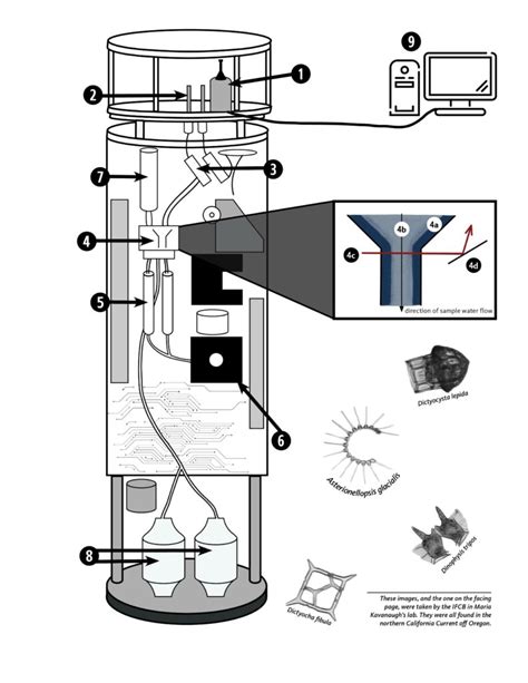 Imaging Flow Cytobot Ifcb Seascape Ecology Laboratory