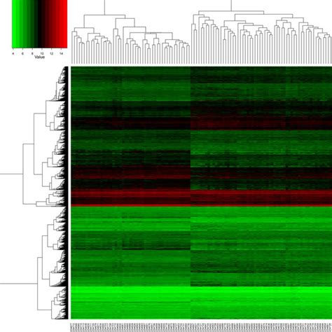 Bi Directional Clustering Analysis Groups Samples Into Lung Cancer And