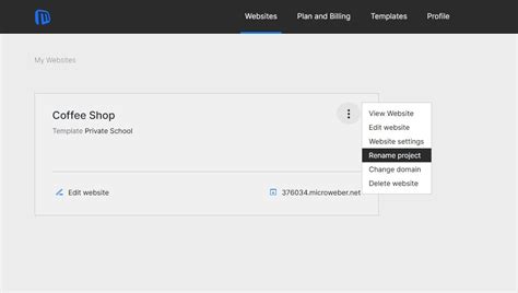 Create Websites In Minutes With Microwebers New Saas