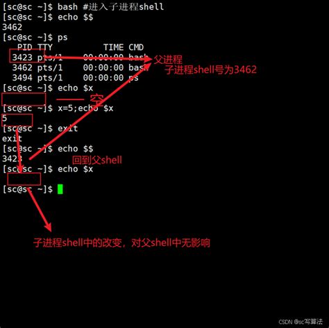 父子shell子shell和父shell Csdn博客 父子shell子shell和父shell Csdn博客