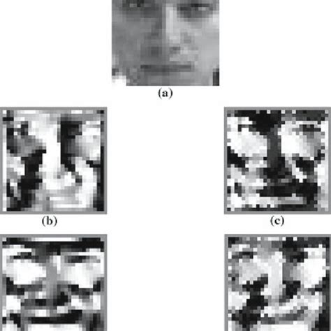 A Gray Level Face Image Edge Orientation I D θ Of The Face Image