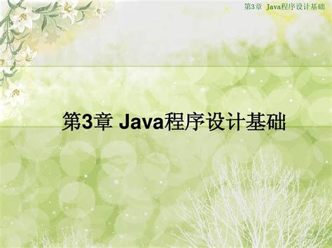 第3章 Java程序设计word文档在线阅读与下载无忧文档
