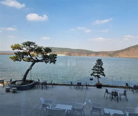 용인 자연휴양림 맛집 Best 5 식신