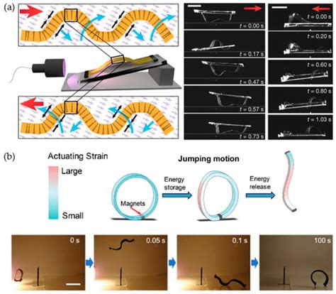 Materials Special Issue Programmable Anisotropic Materials And Composites