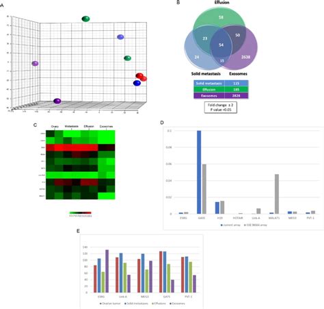 Expression And Clinical Role Of Long Non Coding Rna In High Grade
