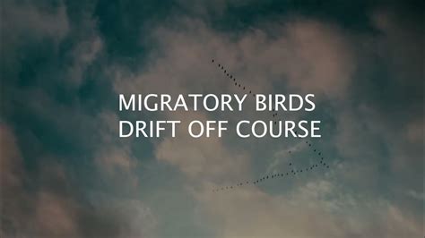 Sky Polution Youtube