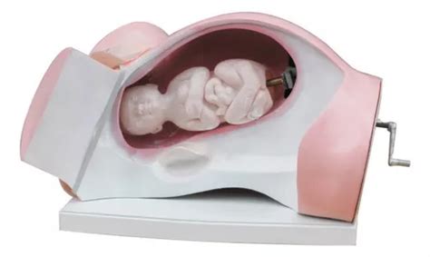 Modelo De Curso De Parto Normal Parcelamento Sem Juros