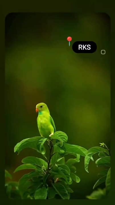 Raj Saini Phd On Linkedin Fluiddynamics Natureinspireddesign Engineering