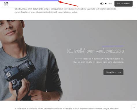 Smallest And Fastest Wordpress Theme For 2022 Exs Freeandpro