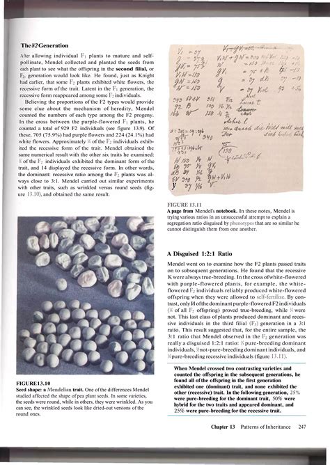 Patterns Of Inheritance Pdf Genetics Science