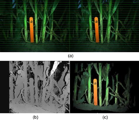 Stereo Matching Using Semi Global Block Matching Sgbm A Rectified