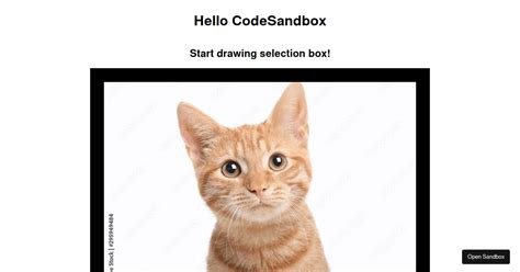 React Canvas Draggable Resizeable Selection Box Codesandbox