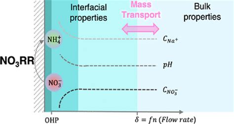 Mass Transport Modifies The Interfacial Electrolyte To Influence