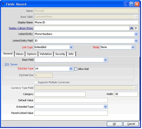 Creating The Customerphone Sub Type Entity Sample Application Example