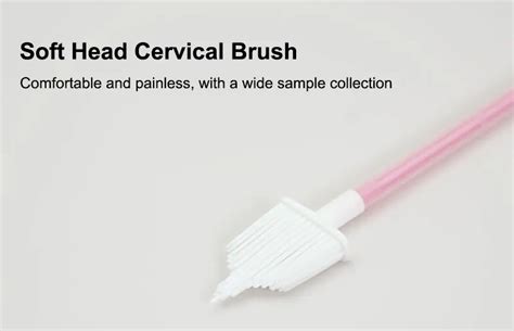 Gynecological Cervical Brush Hpv Test Kit Vaginal Swab Hpv Self Test Kit Sterile Cervical Swab