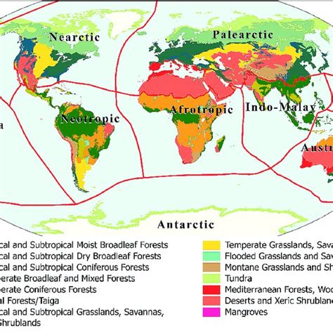 Pdf Terrestrial Ecoregions Of The World A New Map Of Life On Earth
