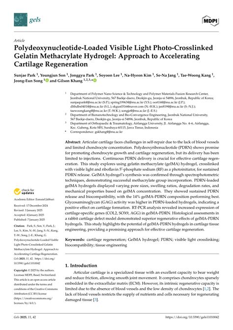 Pdf Polydeoxynucleotide Loaded Visible Light Photo Crosslinked
