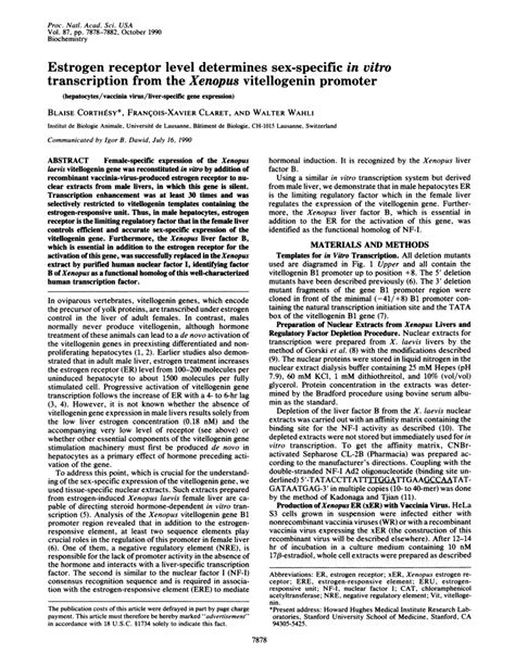 Pdf Estrogen Receptor Level Determines Sex Specific In Vitro