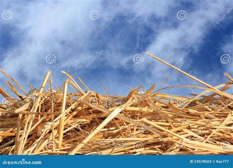 Dry Straw Texture Stock Image 77796019