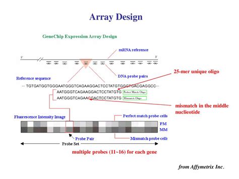 introduction to microarray data analysis ppt download