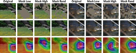 masked autoencoders are robust data augmentors paper and code catalyzex