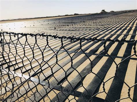 Basal Reinforcement Linear Composites