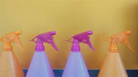 How To Use Catnip Indoors To Repel Mice Why It Works Pest Pointers